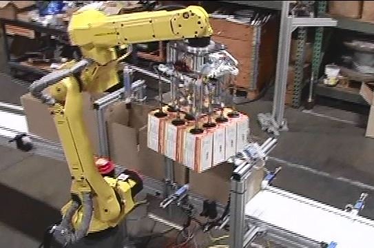 Robotic Palletizers - Case Packing - Robotic Automation
