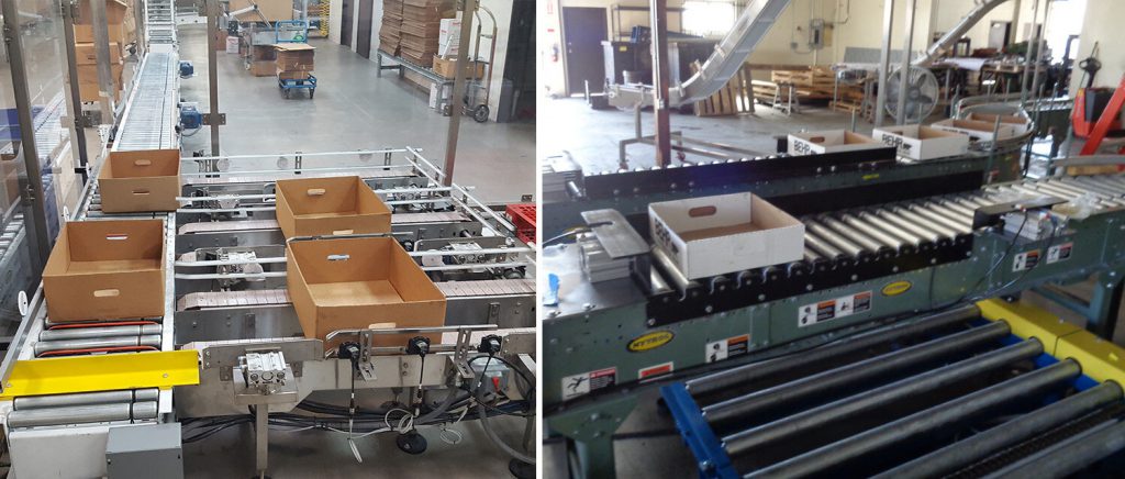 Case Handling Conveyors, Belt and Powered Roller Conveyors,